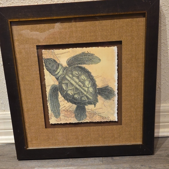 Art | Framed Turtle Art Print 155x155 Custom Frame | Poshmark